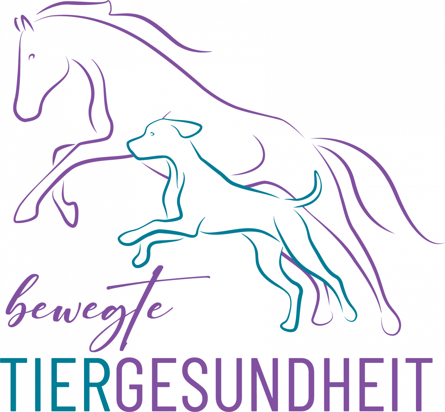 Bewegte Tiergesundheit I Tierphysiotherapie & Tierheilkunde